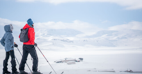 Ski de rando nordique : La grande traversée du plateau du Hardanger
